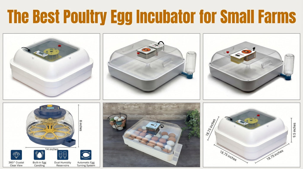 Best Poultry Egg Incubator for Small Farms – Incubator Warehouse