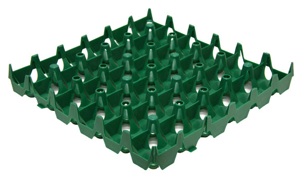 Set of 6 Plastic X-Large Egg Trays for Cabinet Incubator – Incubator ...