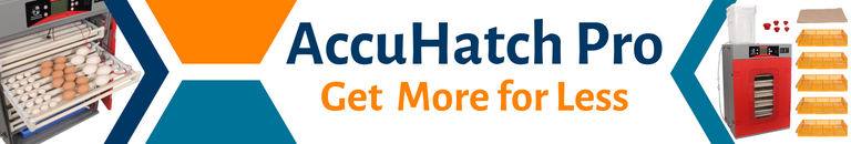 HumidiKit™ Automatic Incubator Humidifier with Digital Hygrostat ...