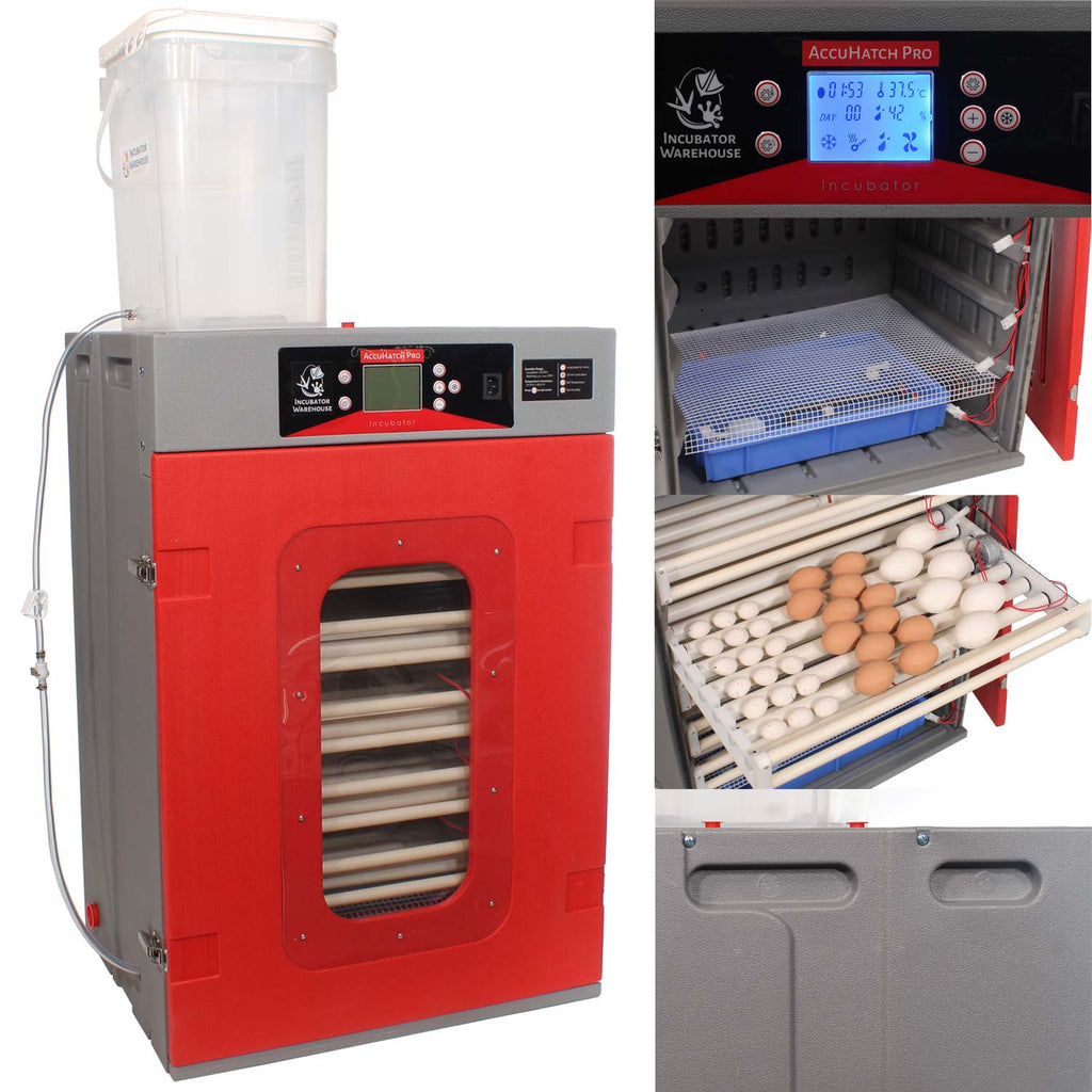 Cabinet Incubators, Sportsman Incubators, Large Incubator – Incubator ...